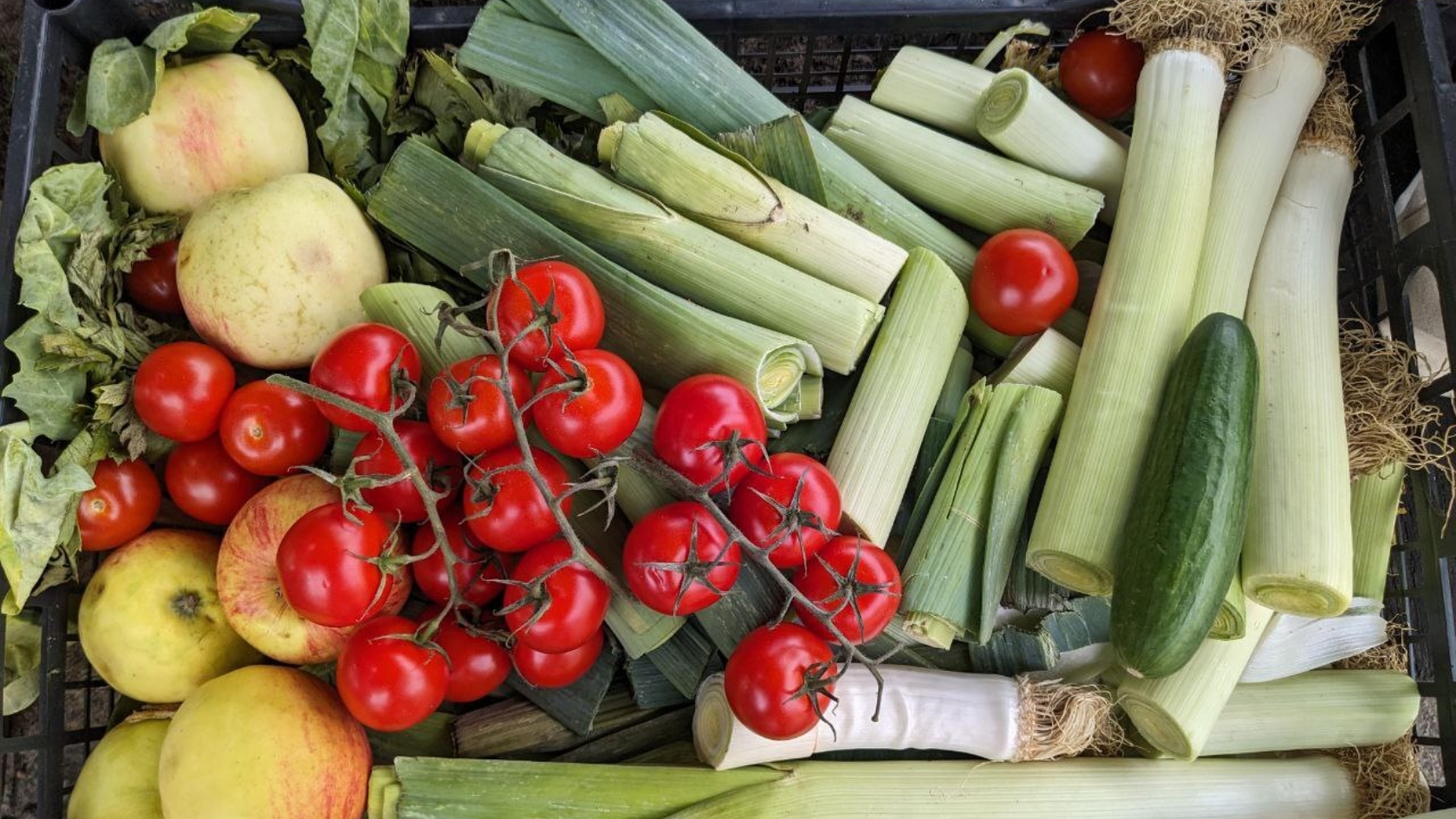 Foodsharing | Stadt Eberswalde